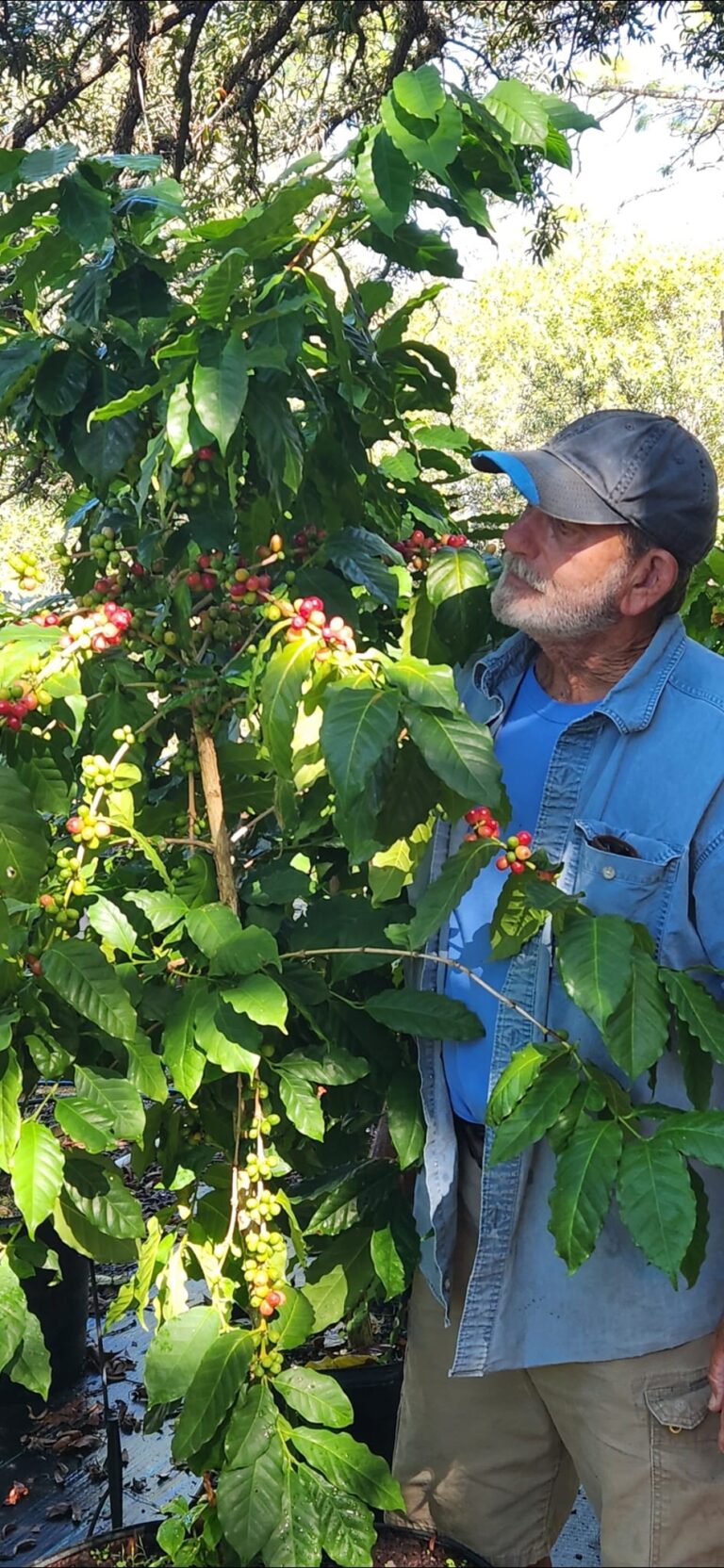 Our Plants – Candide's Coffee Garden